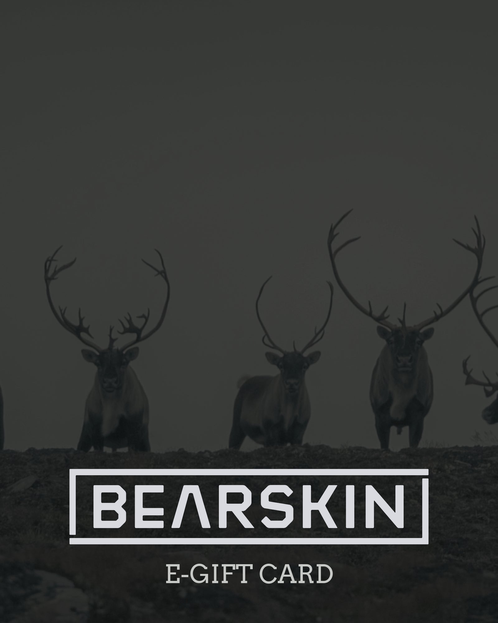 Val rätt hagelammunition - Välj och erfarenheter | Bearskin